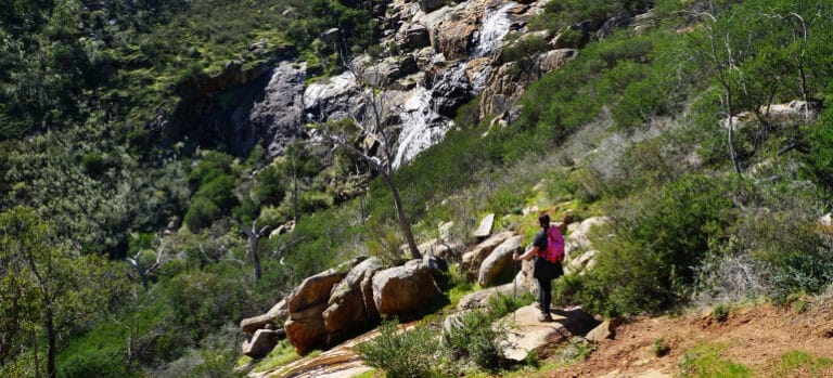 Best Things to Do in Bickley Valley | Coast & Country