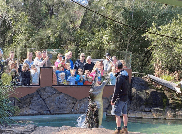 Port Macquarie's Top 23 Best Attractions & Exciting Things To Do