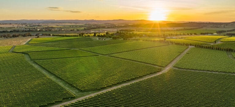 A Comprehensive Guide to Cowra, NSW: Culture, Peace, and Heritage Await ...