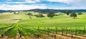 Things to do in Murray Bridge | Coast & Country