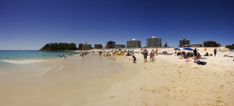 Best Things to Do in Forster