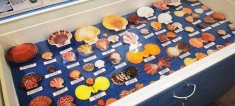 Best Things to Do in Yeppoon