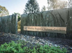 15 Best Things to do in Mackay | Coast & Country