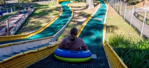 13 Best Things to Do in Eden NSW: Killer Whale Museum, Green Cape ...