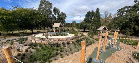 Best Things to Do in Mansfield - High Country Victoria