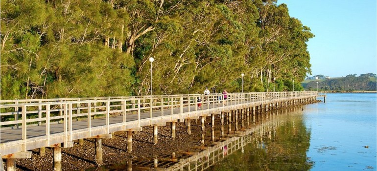 Things to Do in Narooma
