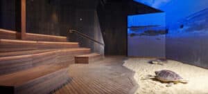 Best Things To Do In Bargara