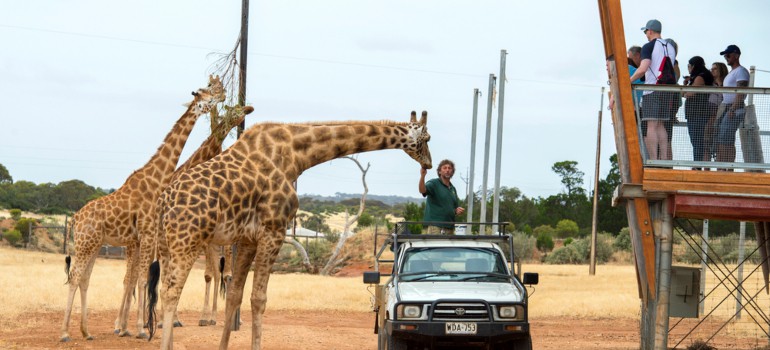 Things to do in Murray Bridge | Coast & Country