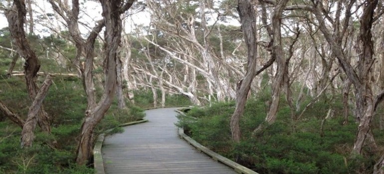 Best Things to Do in Mount Martha