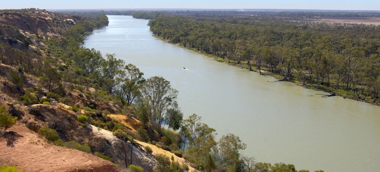 Best Things To Do In Renmark