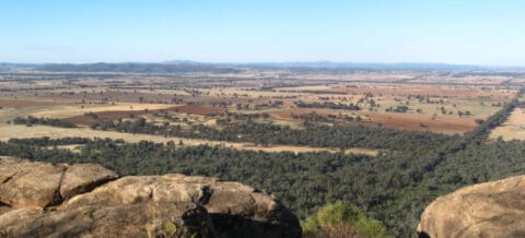 A Comprehensive Guide to Cowra, NSW: Culture, Peace, and Heritage Await ...