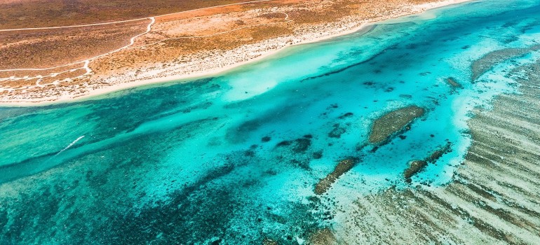 Best Things To Do In Coral Bay