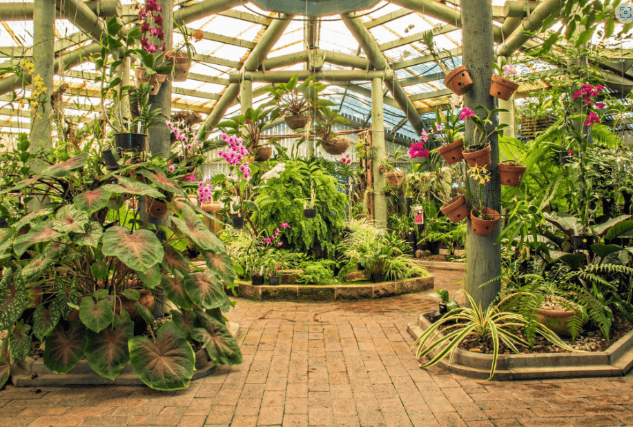 15 Best Things to do in Mackay | Coast & Country