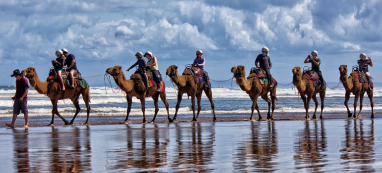 Best Things to Do in Nelson Bay