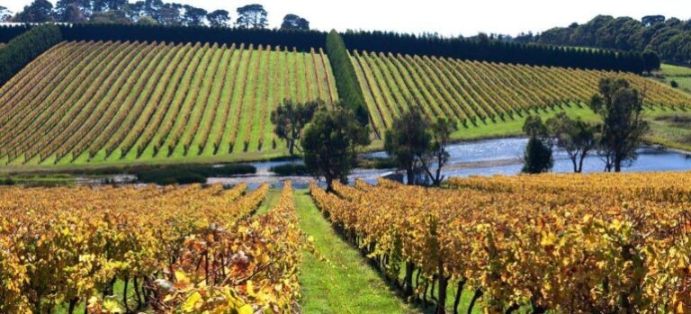 Best Things to Do in Red Hill