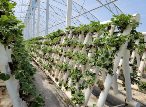 Port Macquarie's Top 23 Best Attractions & Exciting Things To Do