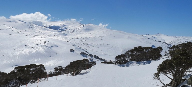 Best Things To Do In Cooma