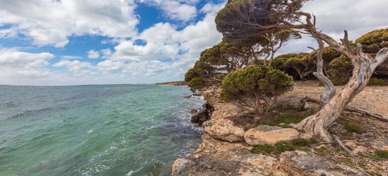 Best Things To Do In Port Pirie