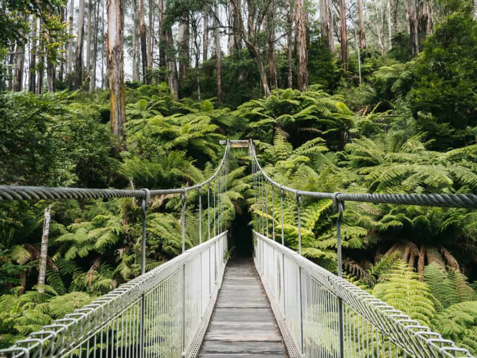 Top 12 Things to Do in Yarram: Must-See Attractions & Hidden Gems for ...