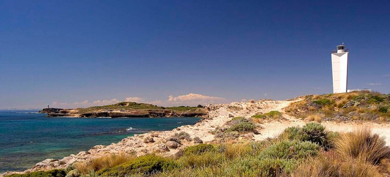 Best Things to Do in Robe