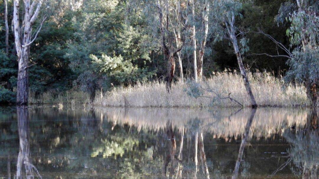 Things to Do in Yea: Your Complete Guide to Victoria's High Country ...