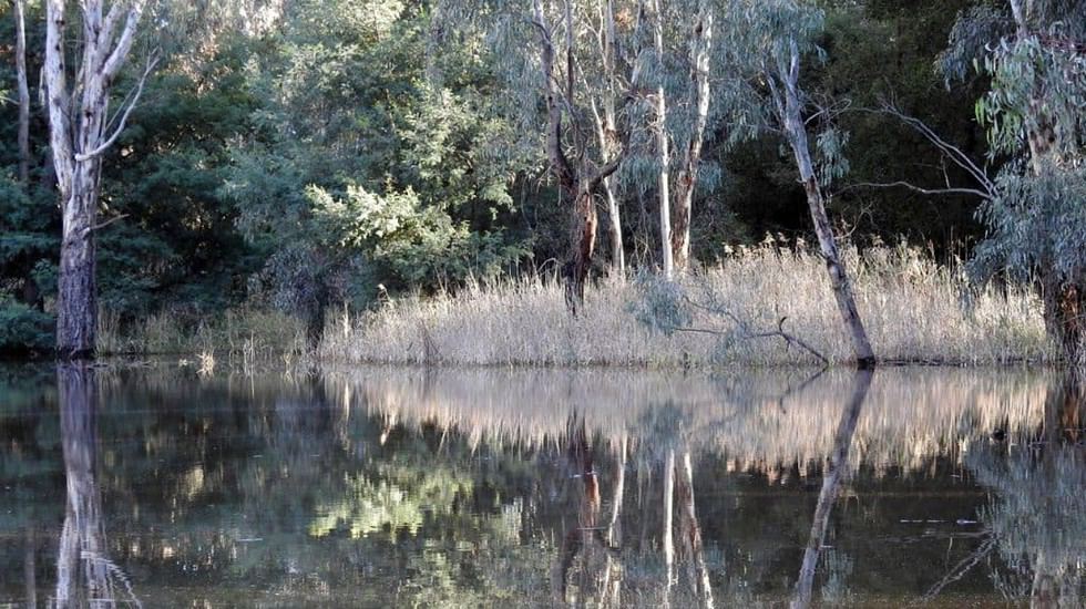 Things to Do in Yea: Your Complete Guide to Victoria's High Country ...