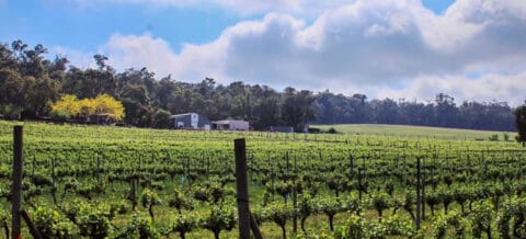 Best Things to Do in Bickley Valley | Coast & Country