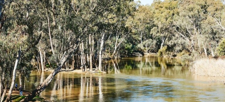 Things to Do in Yarrawonga