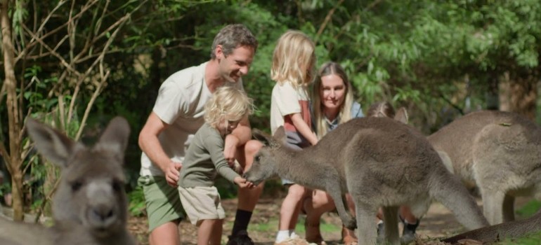 Best Things to Do in Merimbula